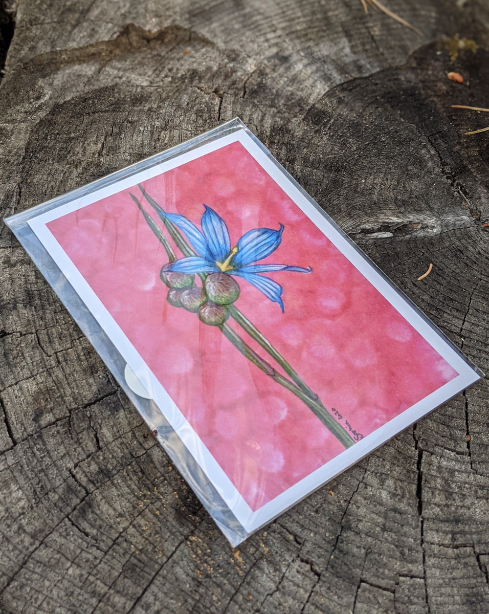 Blue Eyed Grass Signed Art Print Shade Of Biology